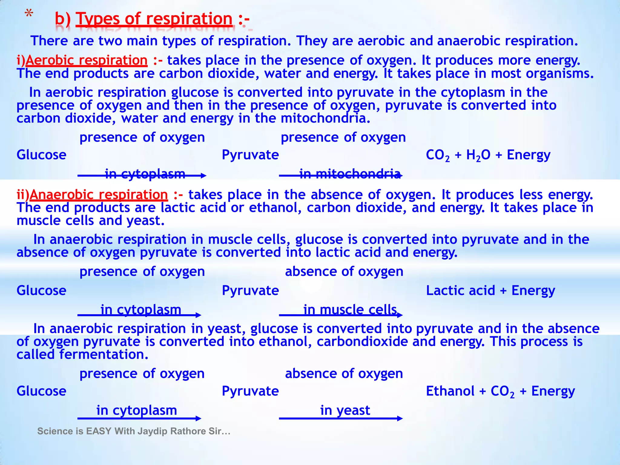 Life Processes Chapter 6 new.pdf