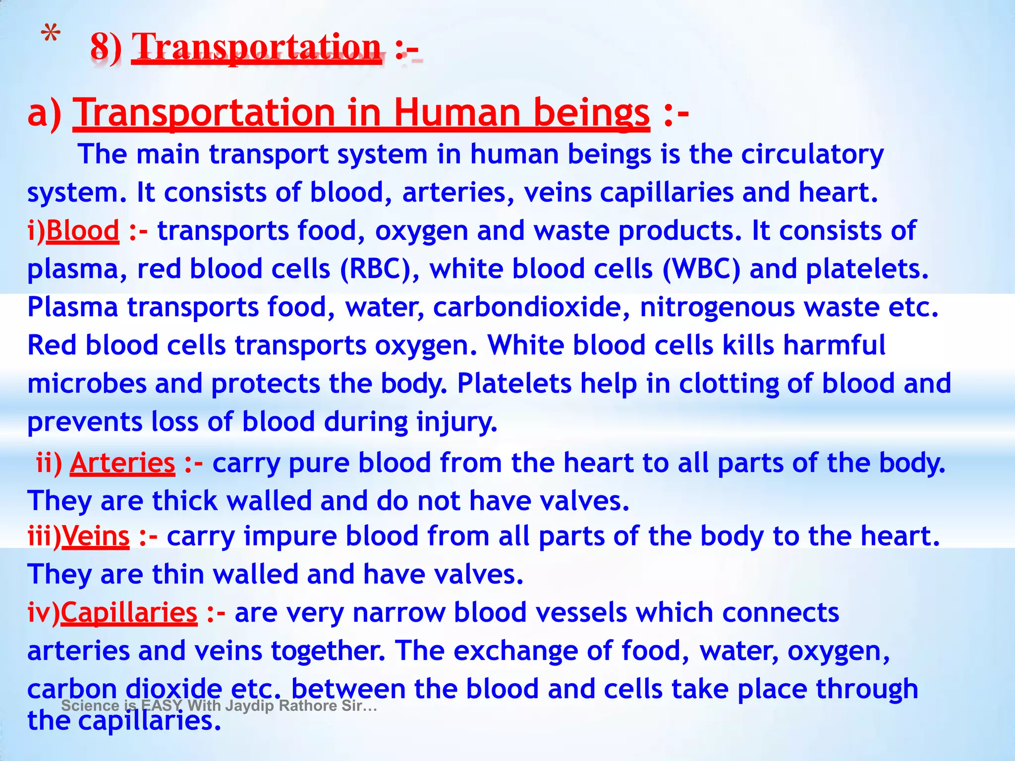 Life Processes Chapter 6 new.pdf
