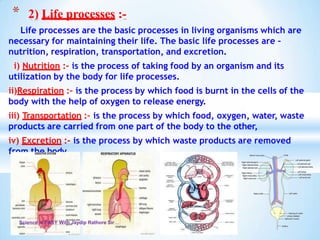 Life Processes Chapter 6 new.pdf