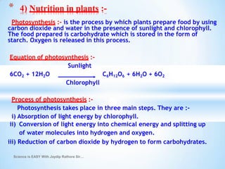 Life Processes Chapter 6 new.pdf