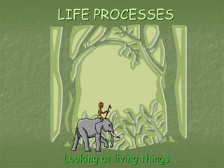 Life Processes Class 10.ppt