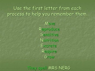 Life Processes Class 10.ppt