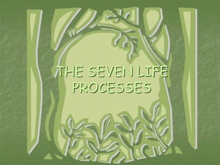 Life Processes Class 10.ppt