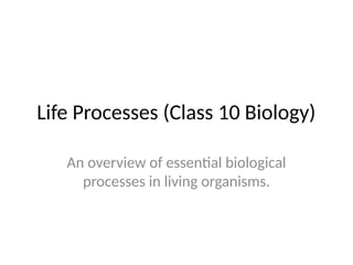 Life_Processes_ PPT for Class 10 without images | PPTX