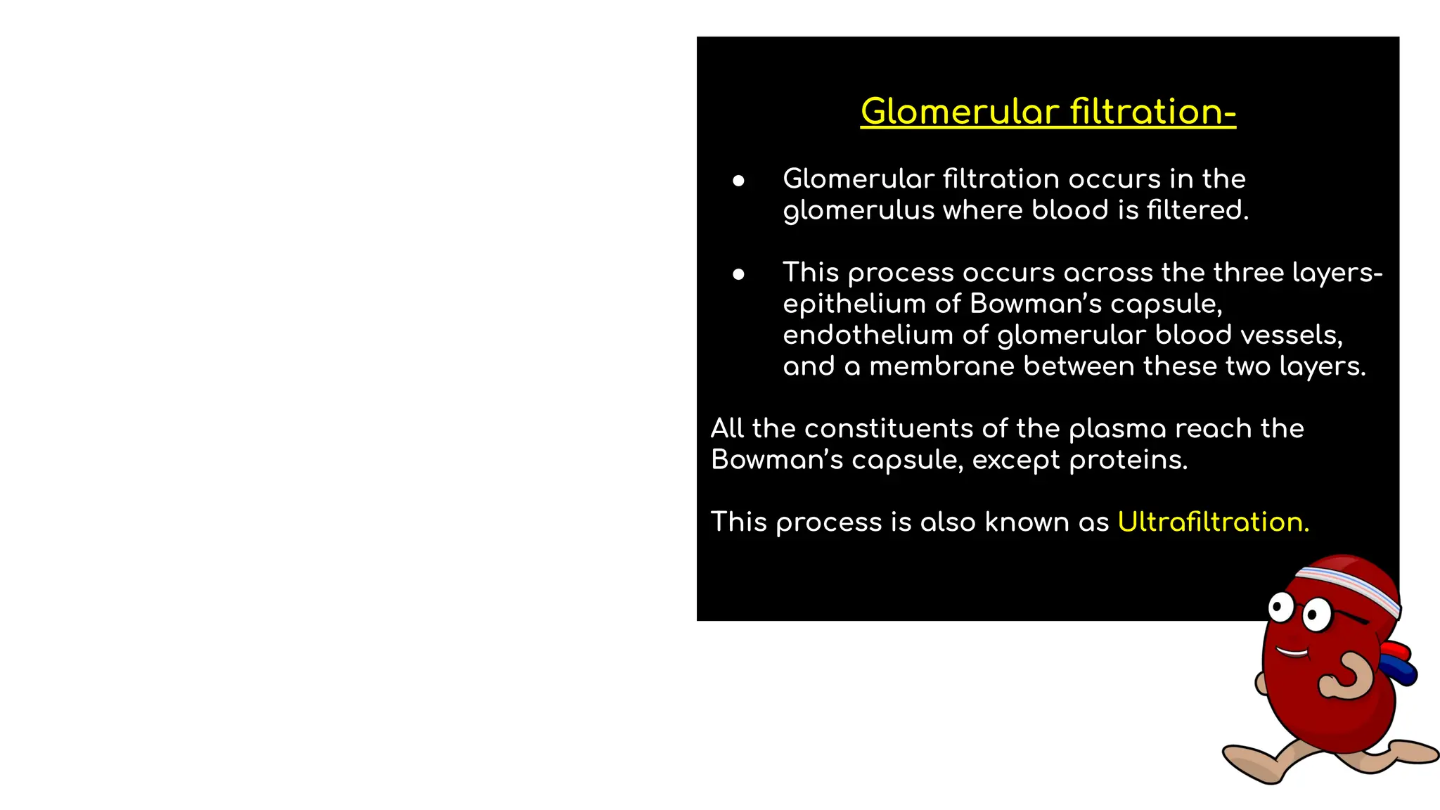Life Processes Excretion ncert notes .pdf