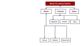 Life Processes Excretion ncert notes .pdf