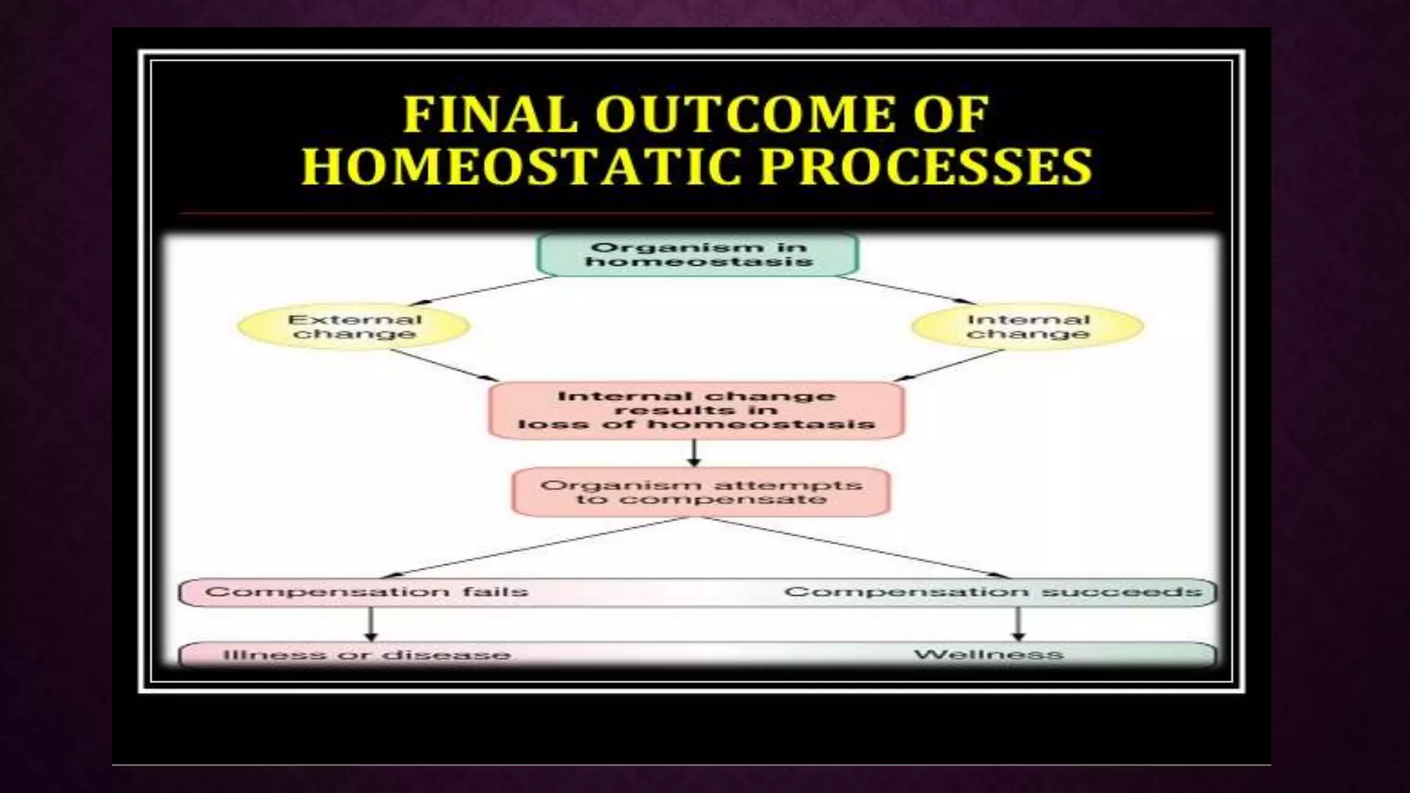 Life processes and homeostatic mechanism | PPTX