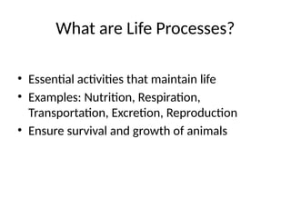 Life_Processes_in_Animals_Class7 ncert textbook slide.pptx