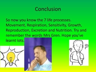 Life processes information report | PPTX