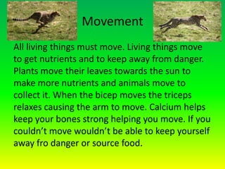 Life processes information report | PPTX