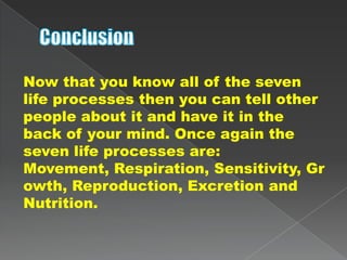 Life processes information report ewan | PPTX | Biological Sciences ...