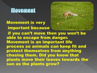 Life processes information report ewan | PPTX | Biological Sciences ...