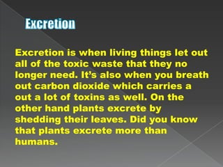 Life processes information report ewan | PPTX