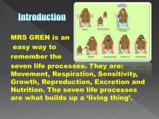 Life processes information report ewan | PPTX
