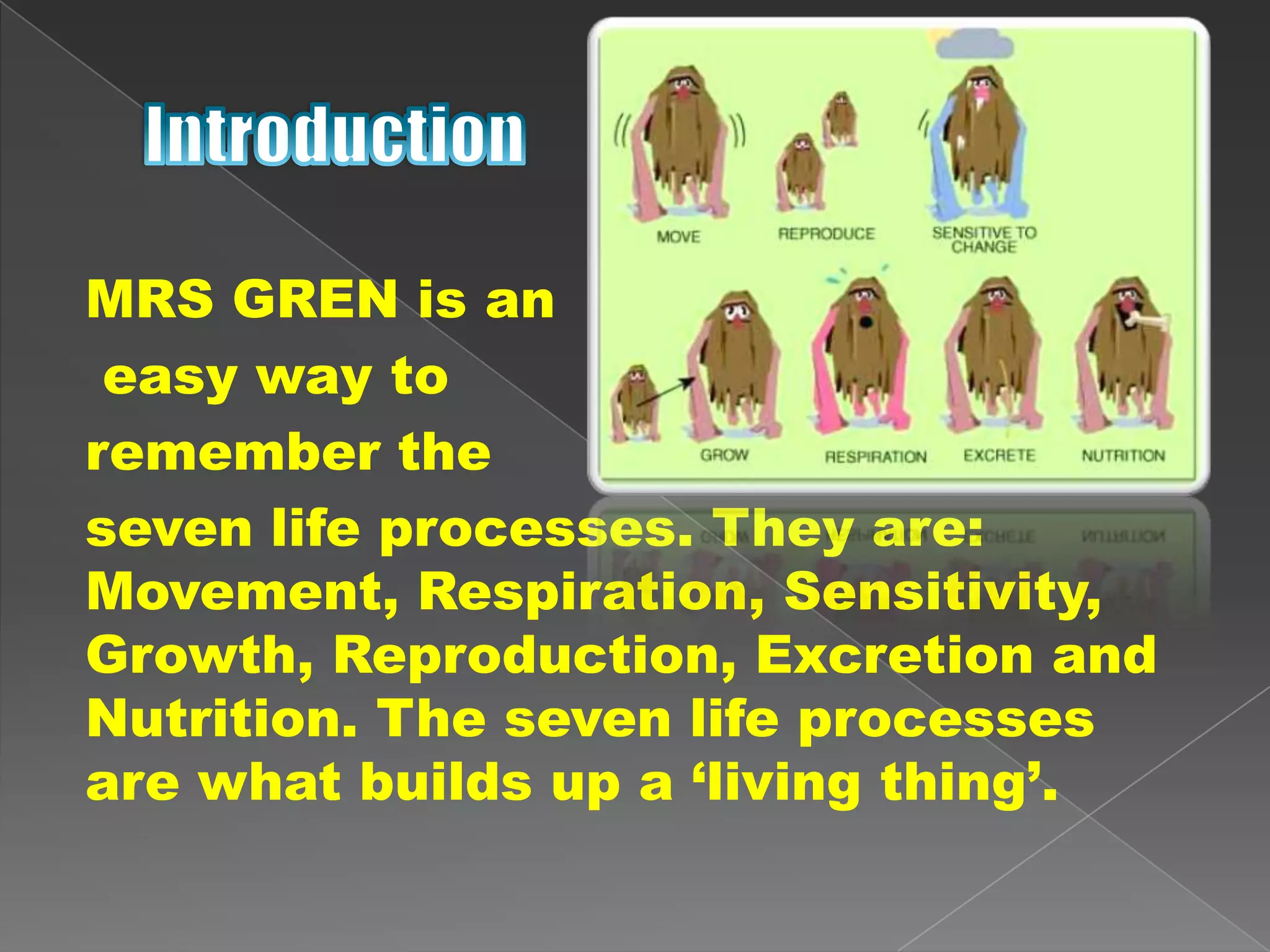 Life processes information report ewan | PPTX