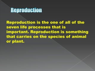 Life processes information report ewan | PPT