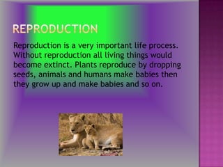 Life processes | PPTX
