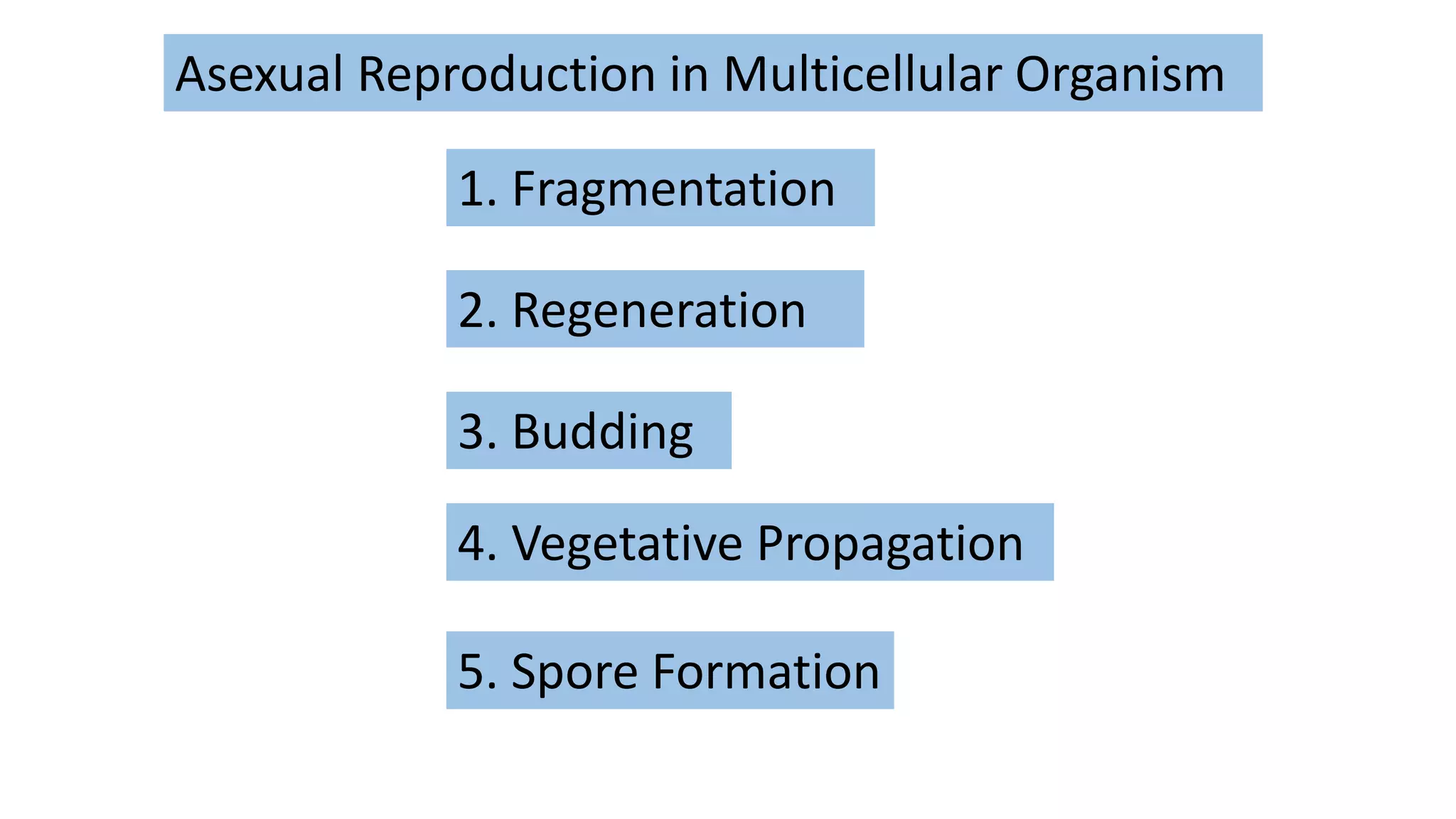Life processes in living organism part 2 | PPTX