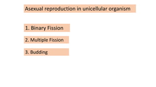 Life processes in living organism part 2 | PPTX
