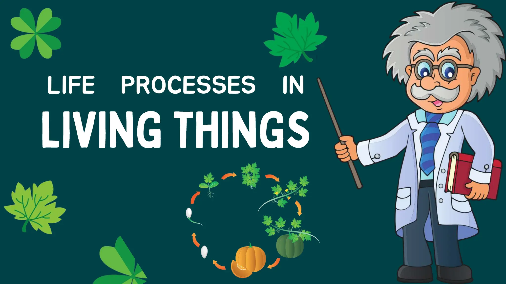 Life Processes in Living Things: Human, Plants, and Animals | PPTX
