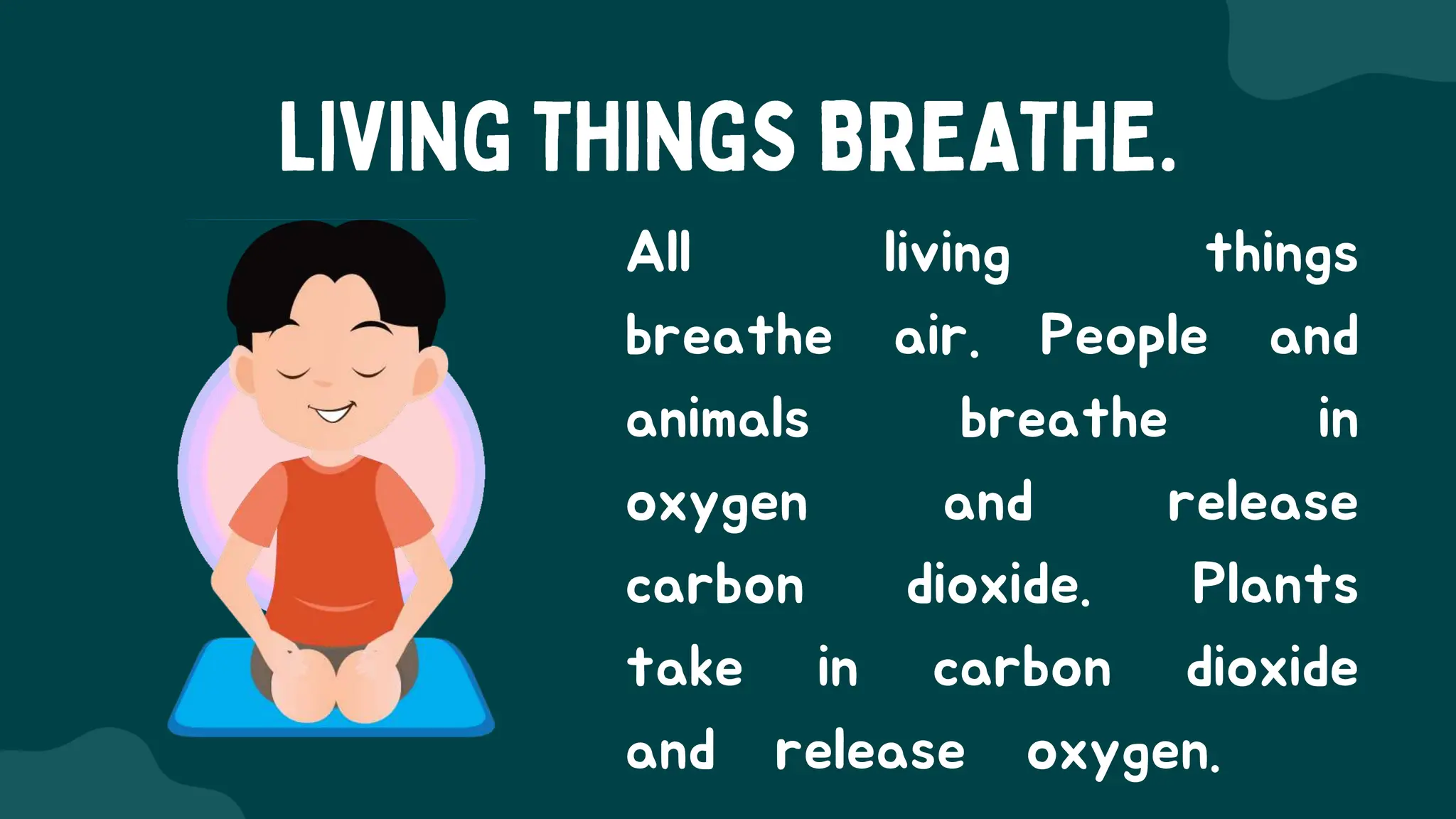 Life Processes in Living Things: Human, Plants, and Animals | PPT