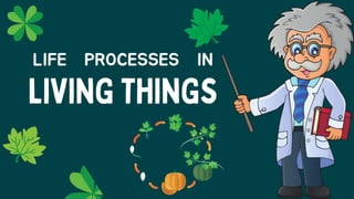 Life Processes in Living Things: Human, Plants, and Animals | PPT