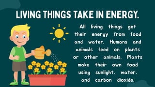 Life Processes in Living Things: Human, Plants, and Animals | PPT