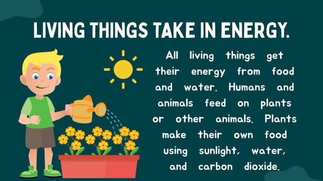 Life Processes in Living Things: Human, Plants, and Animals | PPT