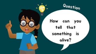 Life Processes in Living Things: Human, Plants, and Animals | PPT