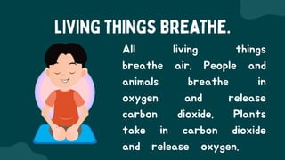 Life Processes in Living Things: Human, Plants, and Animals | PPT