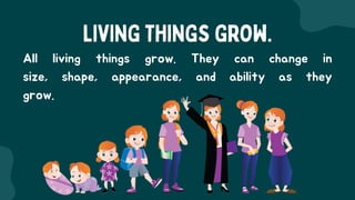 Life Processes in Living Things: Human, Plants, and Animals | PPT