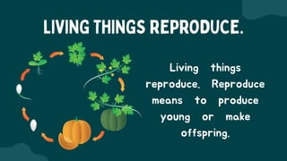 Life Processes in Living Things: Human, Plants, and Animals | PPT