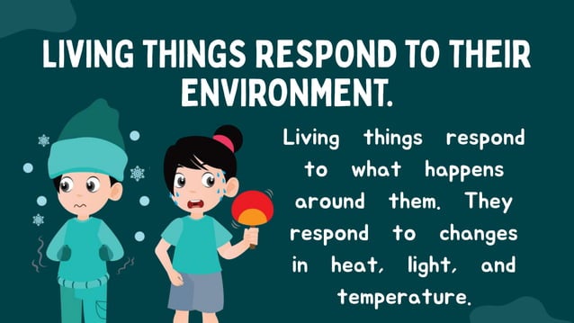 Life Processes in Living Things: Human, Plants, and Animals | PPT