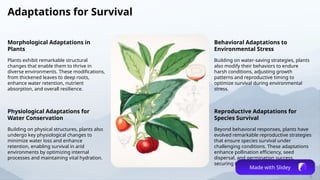 Life Processes in plants .pptxvvbbhhjjjjj | PPTX