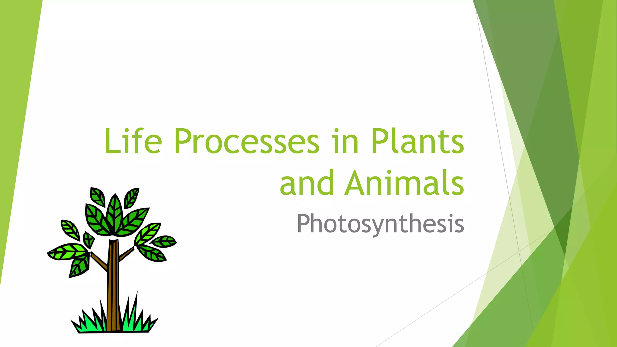 Life processes in plants and animals photosynthesis | PPTX