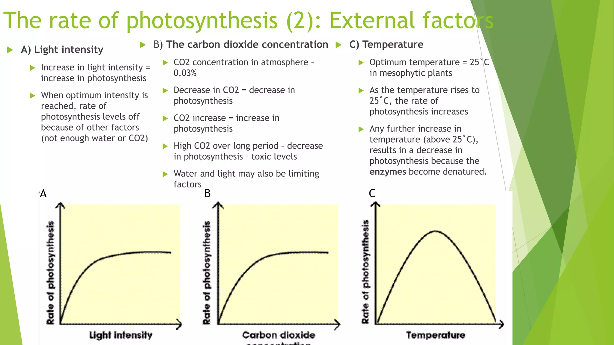 Life processes in plants and animals photosynthesis | PPTX