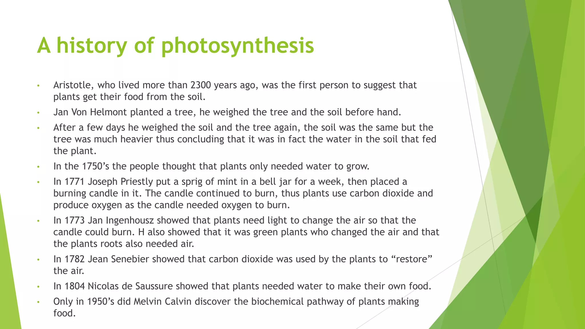 Life processes in plants and animals photosynthesis | PPTX
