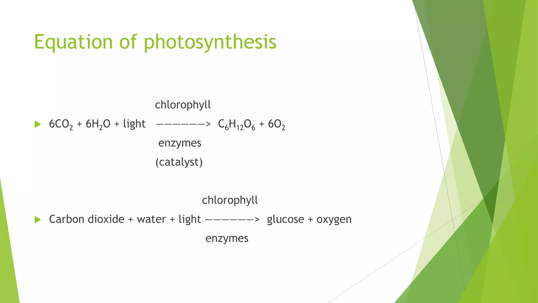 Life processes in plants and animals photosynthesis | PPTX