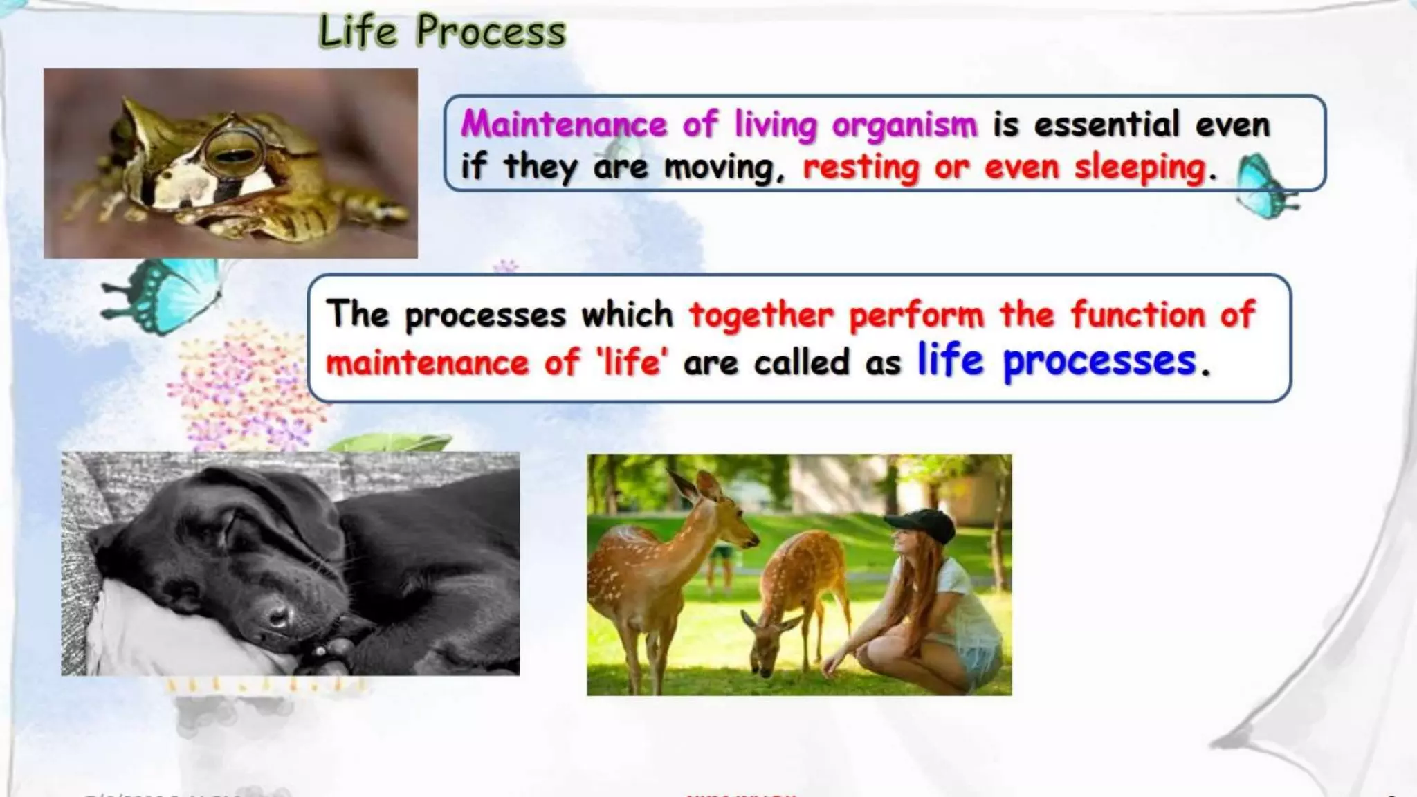 life processes new.pptx