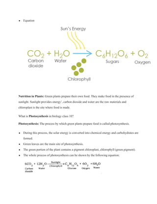 Life processes notes | PDF
