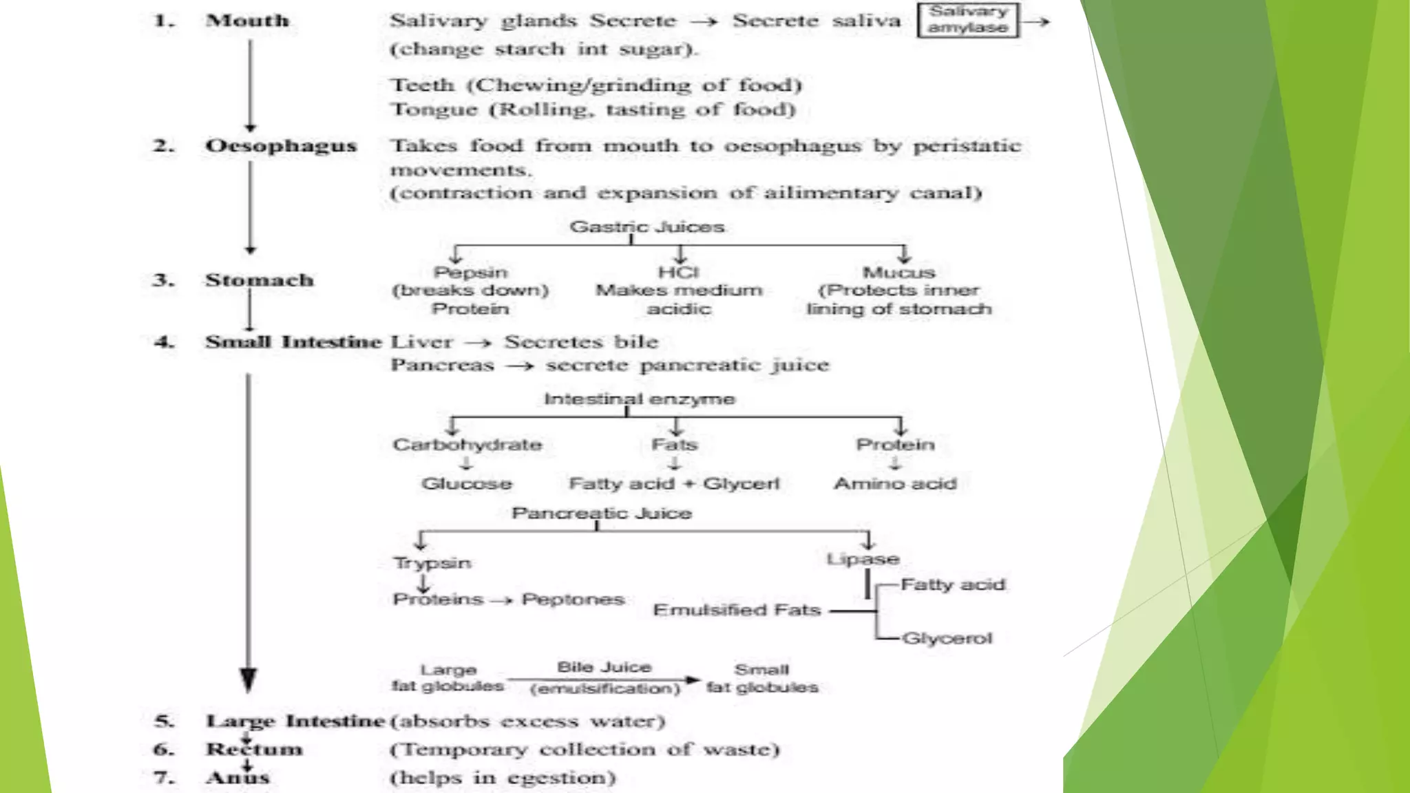 Life processes Part 1 (Nutrition) | PPT