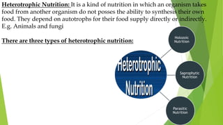 Life processes Part 1 (Nutrition) | PPT
