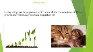 Life processes Part 1 (Nutrition) | PPT