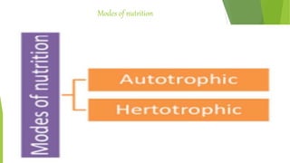 Life processes Part 1 (Nutrition) | PPT