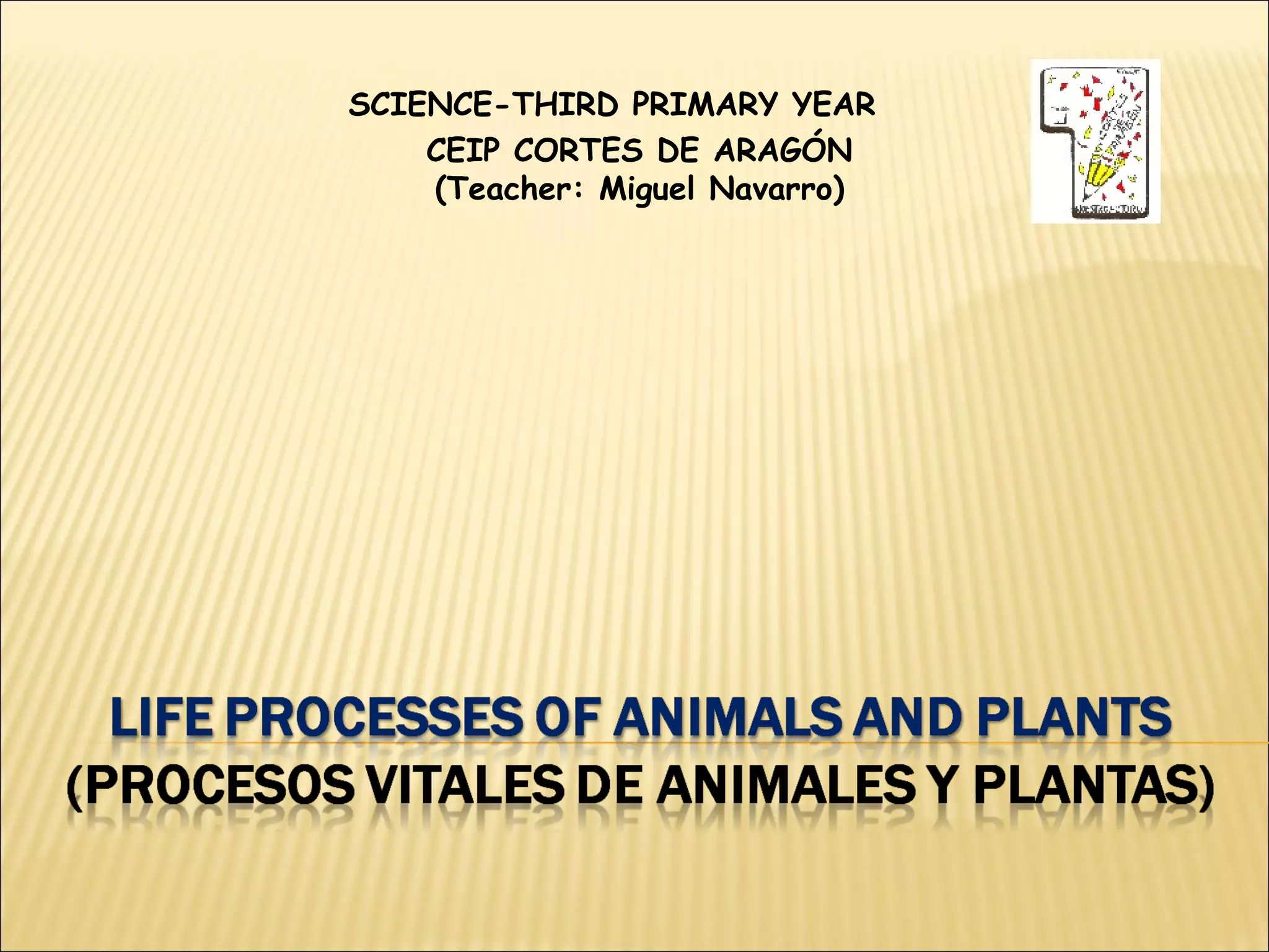 Life processes of animals and plants | PPT