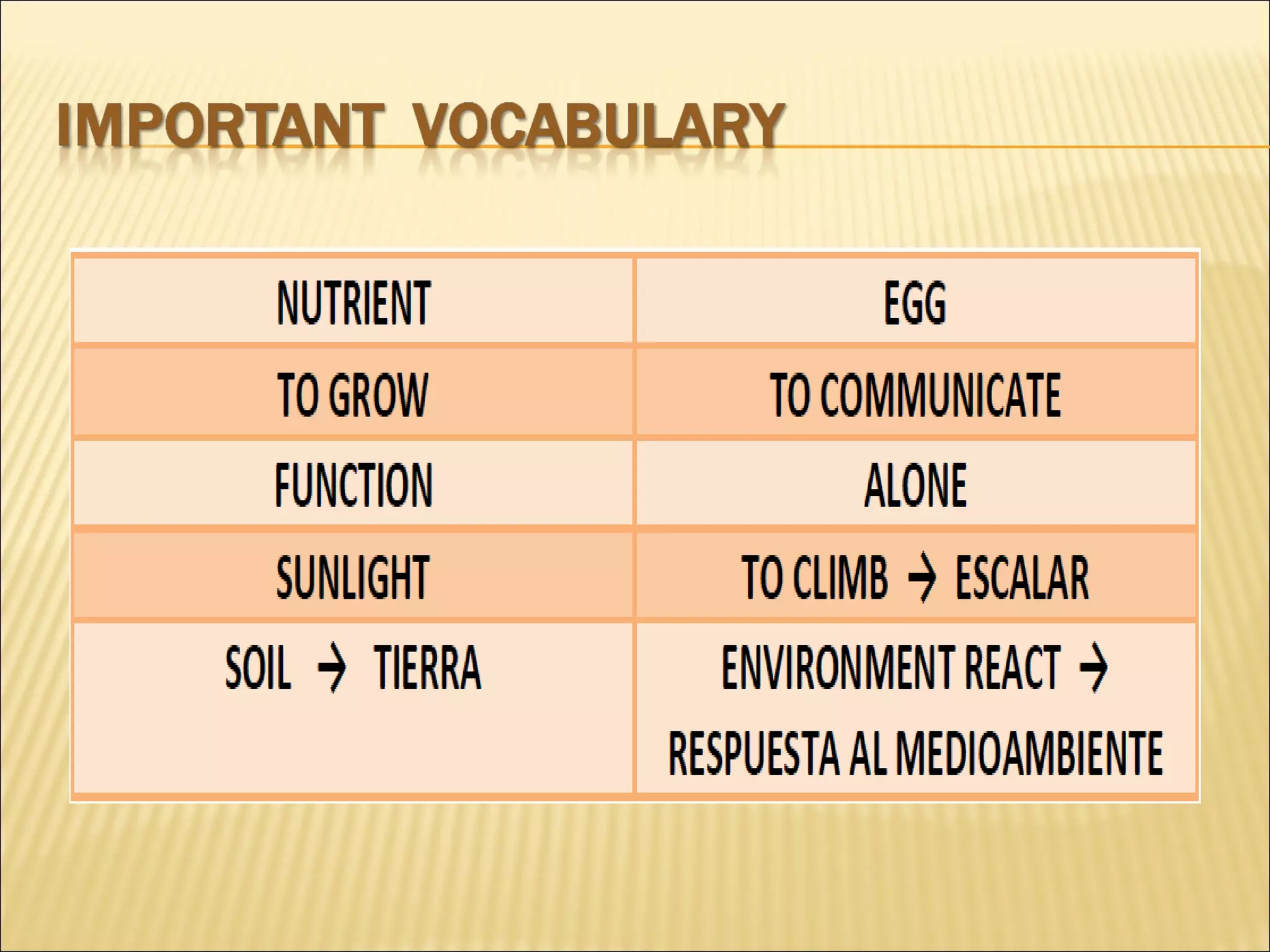 Life processes of animals and plants | PPT