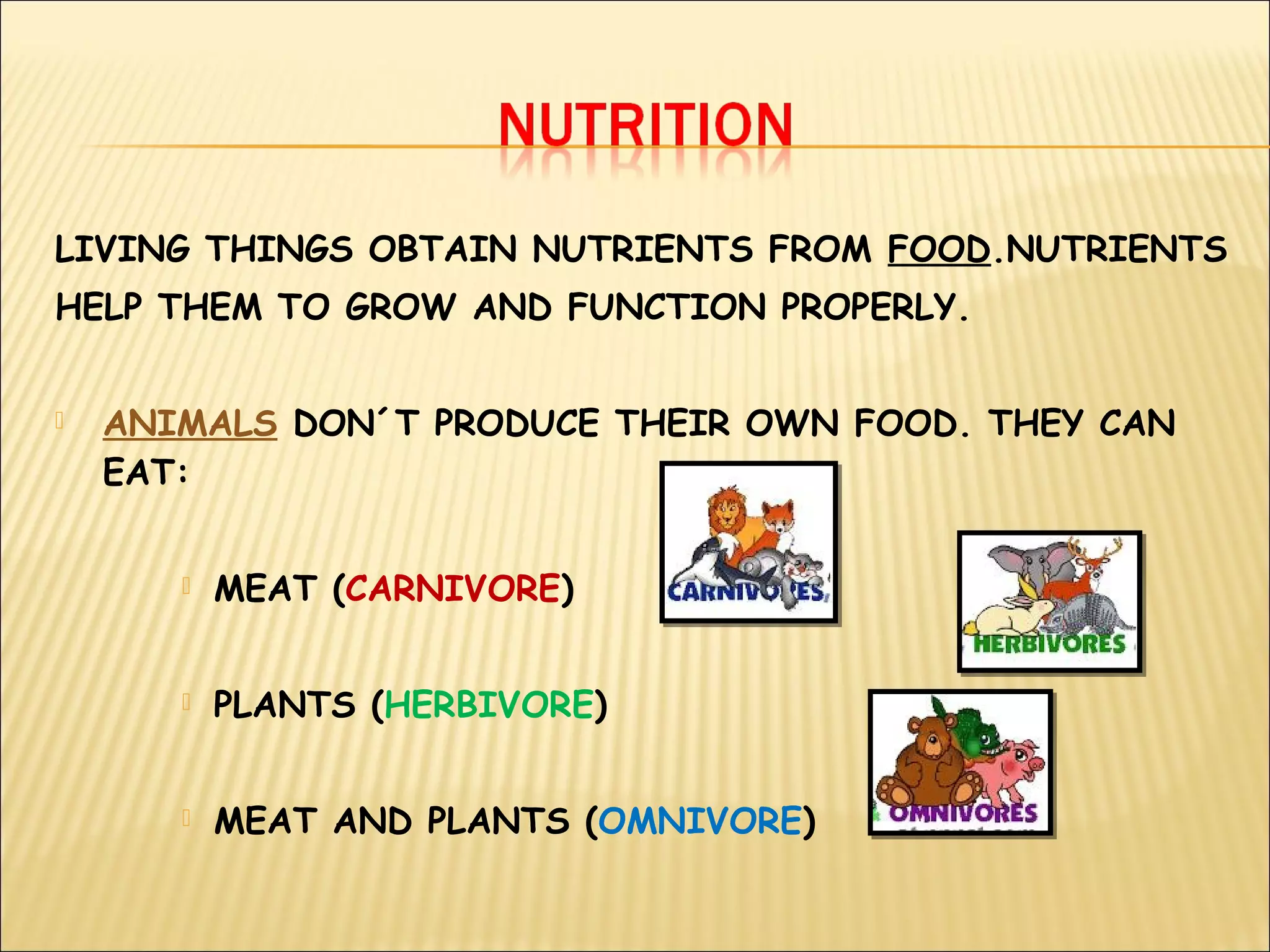 Life processes of animals and plants | PPT