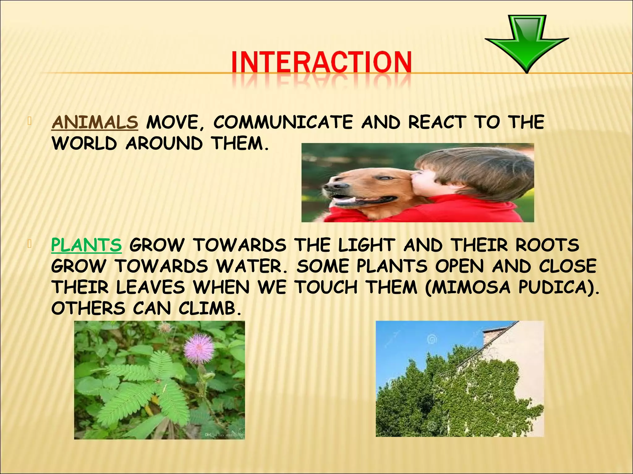 Life processes of animals and plants | PPT