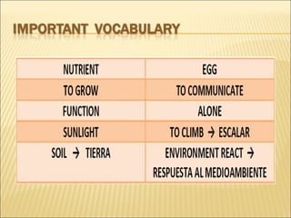 Life processes of animals and plants | PPT