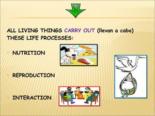Life processes of animals and plants | PPT